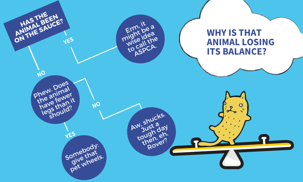 5 Unbalanced Animals – seaband-us