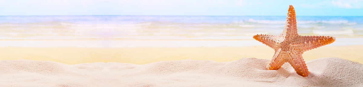 Shop All – seaband-us